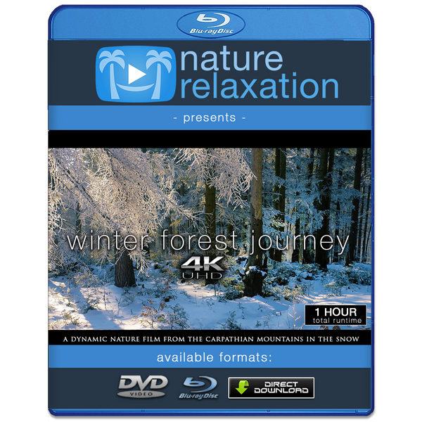 "Winter Forest Journey" 4K Dynamic 1-Hour Nature Relaxation Film ...