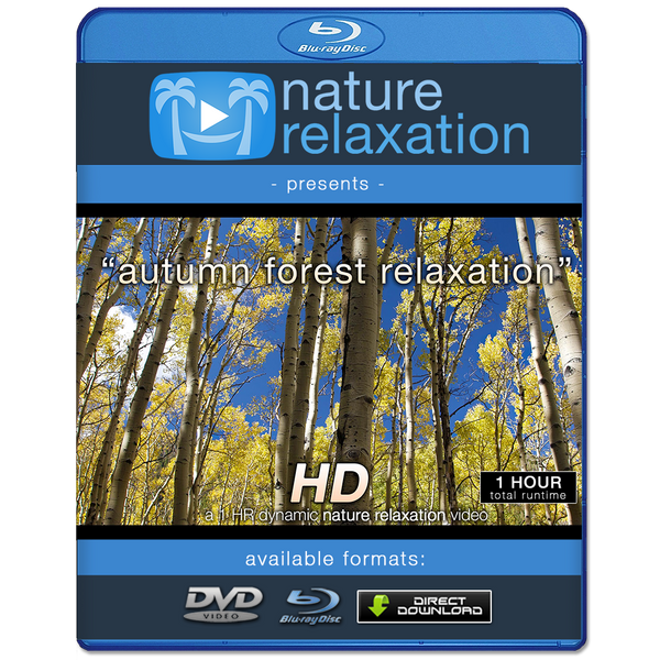 "Autumn Forest Relaxation" HD Relaxation Video 1 HR Download or DVD ...