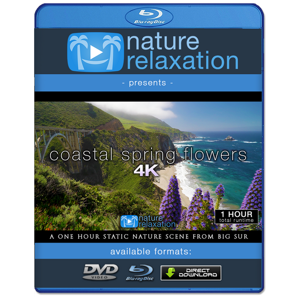 "Coastal Spring Flowers" 1 Hour Dynamic Nature Film - Big Sur Californ ...